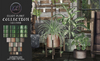 Second Life Marketplace - [QE Home] Elliot Plant Set -Sullivan-
